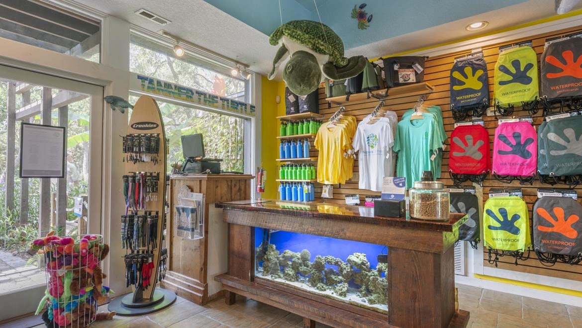 Amelia Island Shopping | Omni Amelia Island Resort & Spa